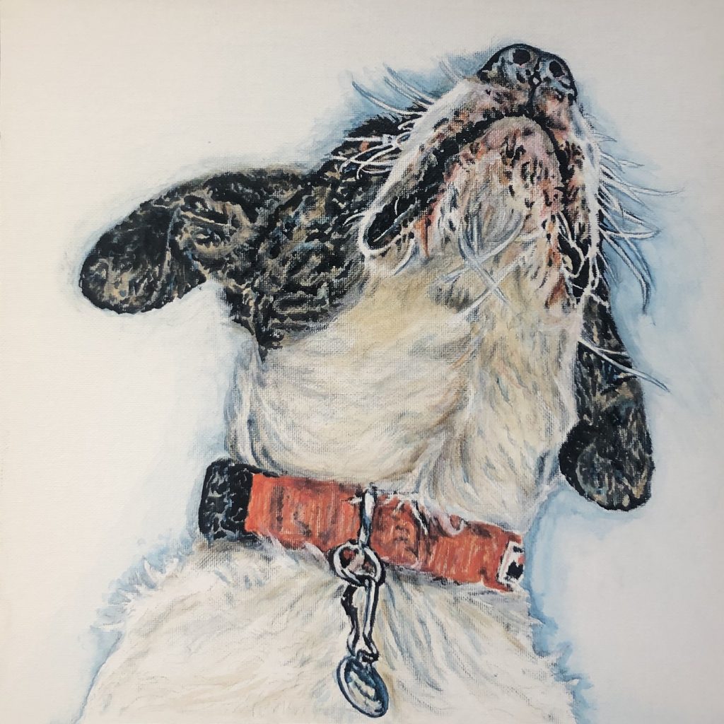Pet Portraits - Sarah Perkins Art