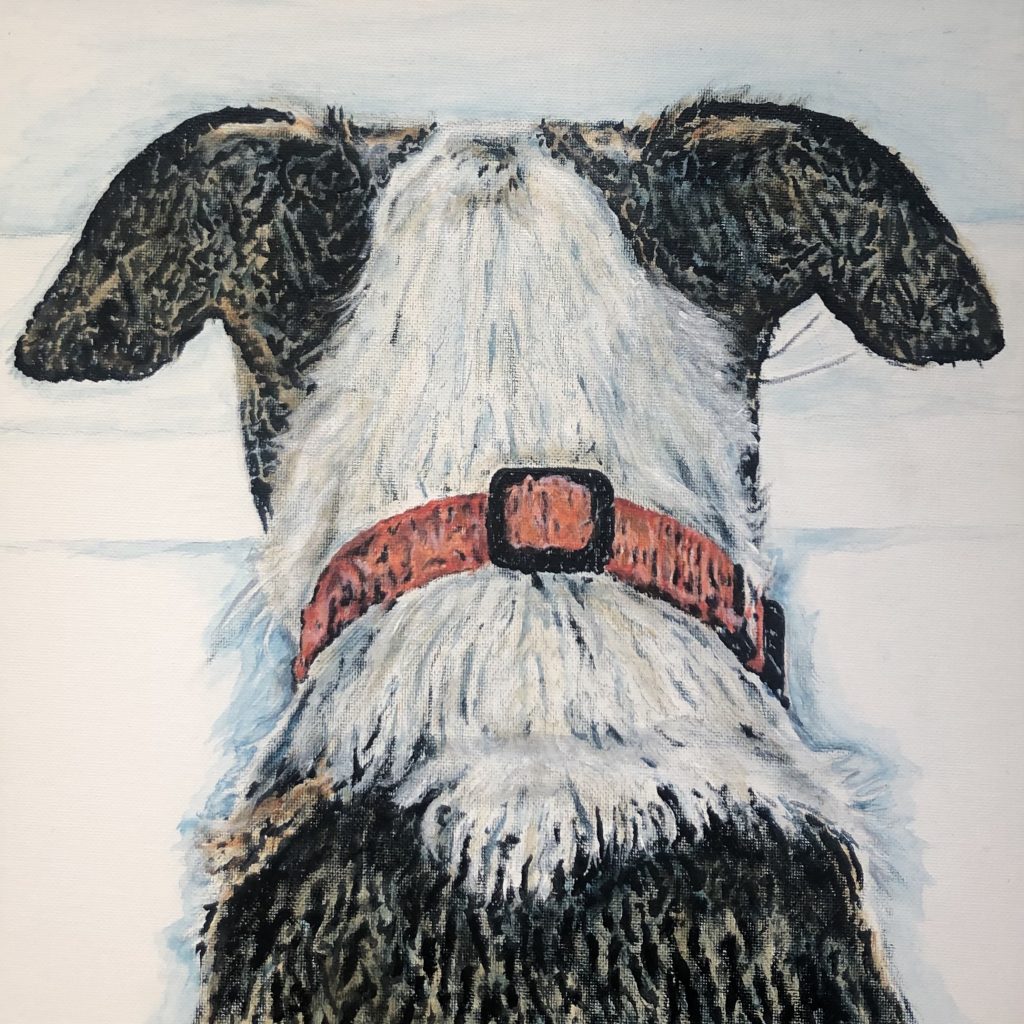 Pet Portraits - Sarah Perkins Art