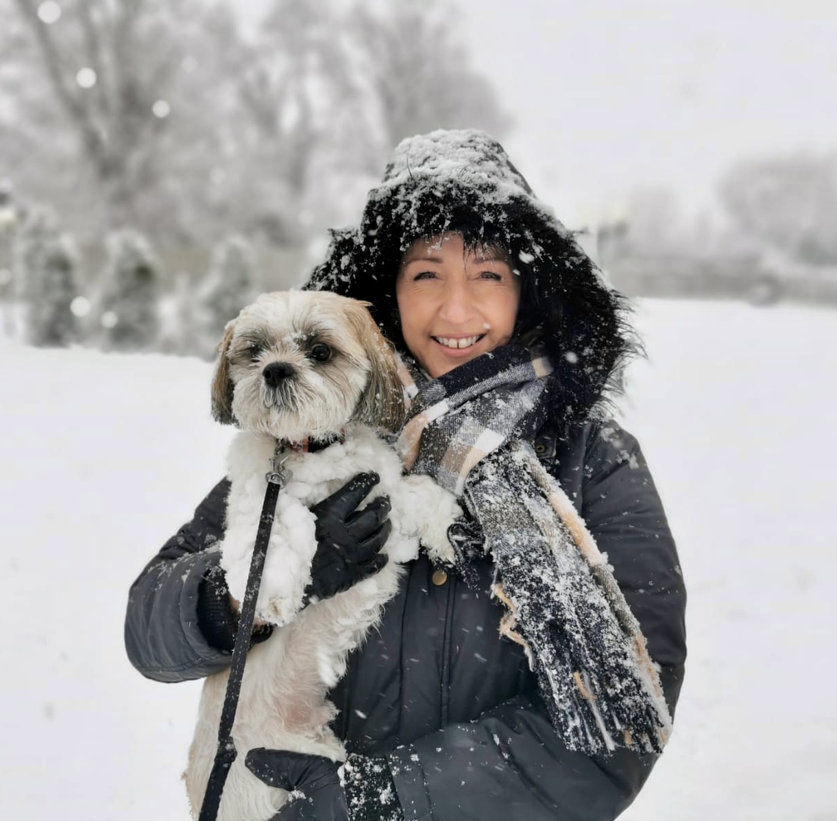 About - Sarah Perkins Art